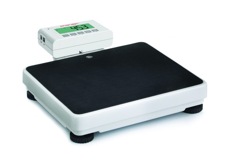 Professional body weight scales: functions, features and how to choose ...