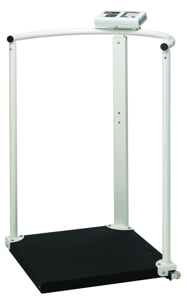 Professional body weight scales: functions, features and how to choose ...