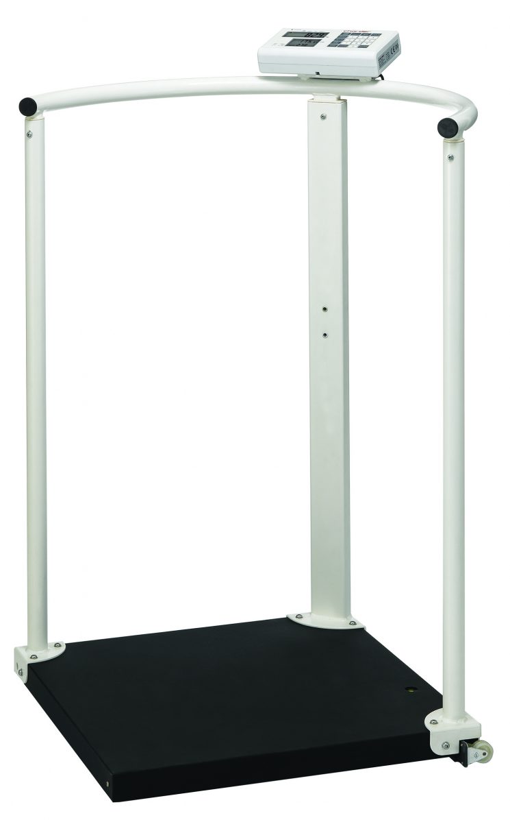 Professional body weight scales: functions, features and how to choose ...