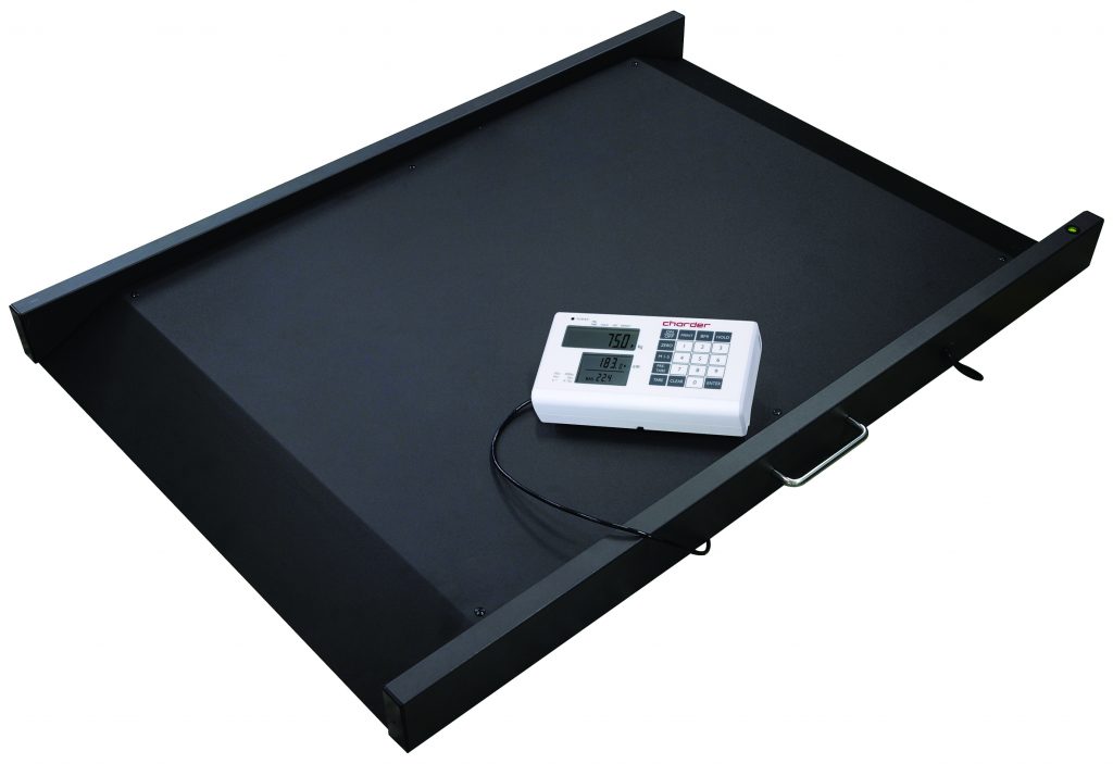 Professional body weight scales: functions, features and how to choose ...
